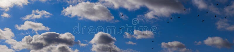 Cumulus clouds stock image. Image of bright, nature, abstract - 52988631