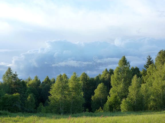 On the Threshold of the Forest in the Sunset Stock Image - Image of ...