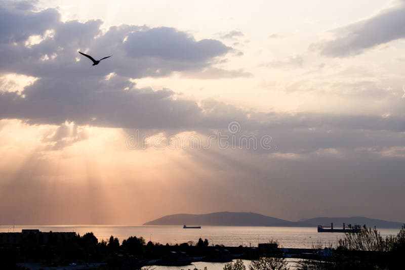 Cumulus Sunset Clouds with Sun Setting Down Light with Sea and Seagull ...