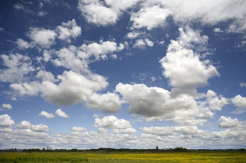 Cumulus Type Clouds Cover the Blue Sky. Stock Image - Image of prairie ...