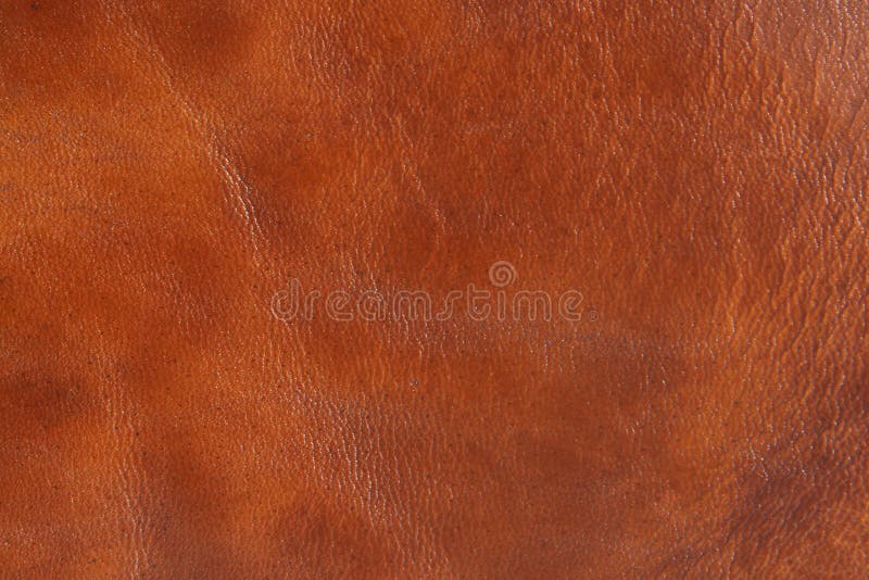 Cuoio del Brown immagine stock. Immagine di macro, scuro - 12173513