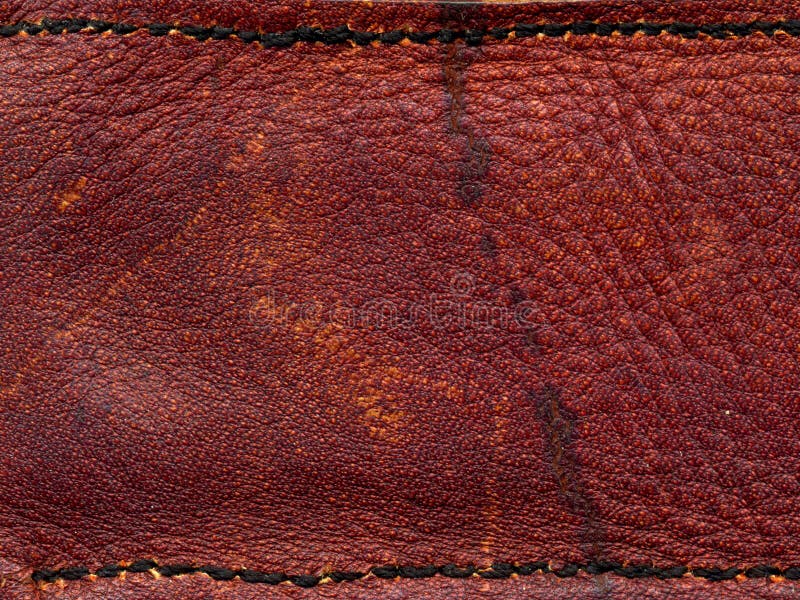 Cuoio Struttura Della Pelle Macro Struttura Immagine Stock - Immagine ...