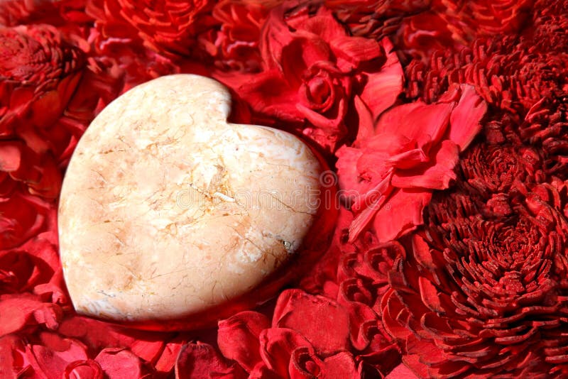 Cuore e fiore rosso fotografia stock. Immagine di naughty - 12434292