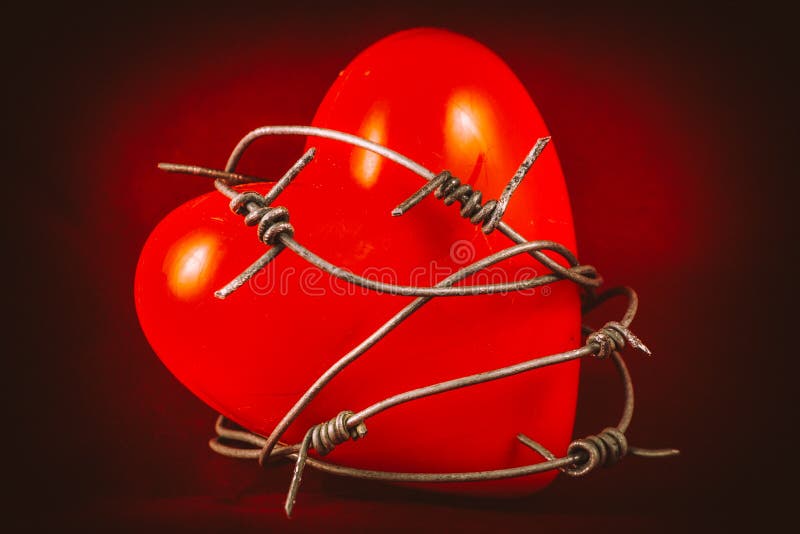 Cuore Filo Spinato Su Rosso 1 Foto stock - Foto stock gratuite e ...