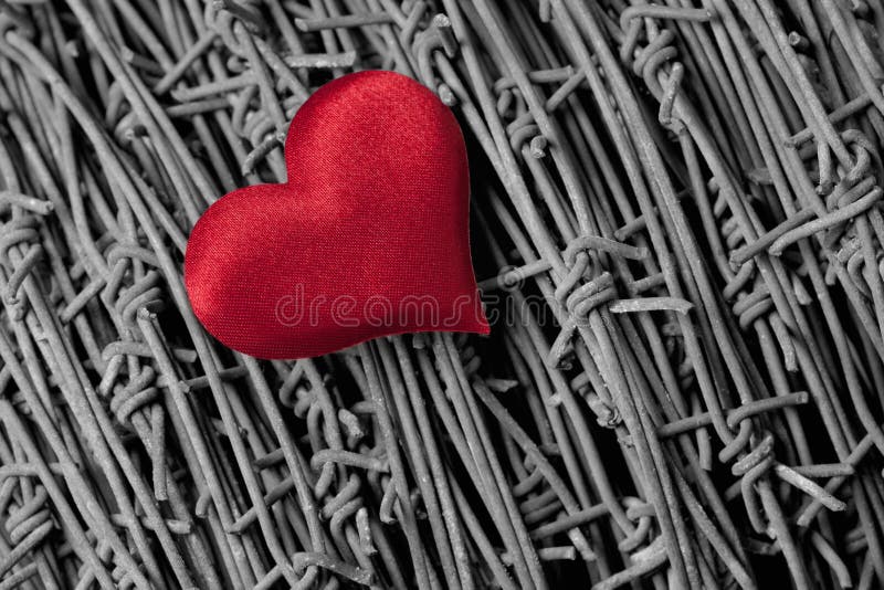 Cuore Sopra Un Filo Spinato Immagine Stock - Immagine di lucido ...