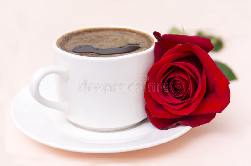 Cup of Black Coffee with Red Rose Flower on a Beige Background Stock ...