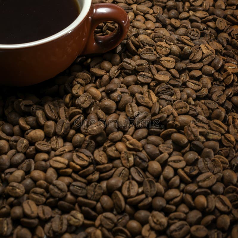 Cup Black Coffee on Roasted Coffee Beans Square Format Stock Photo ...