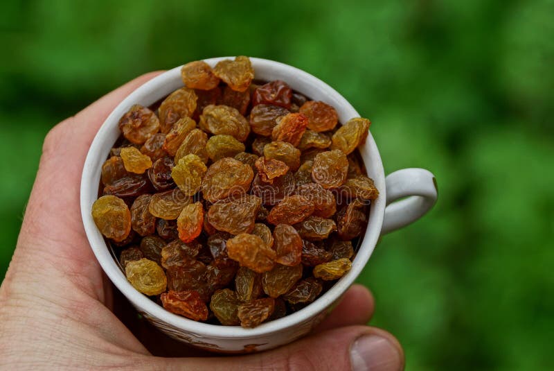 Cup Brown Raisins in the Hand on Green Background Stock Image - Image ...