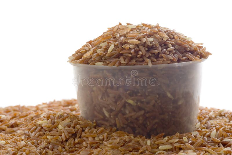 Rice grain stock photo. Image of nutrition, natural, macro - 13883674