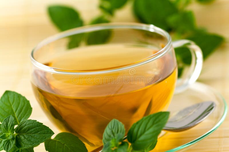 Mint tea stock photo. Image of aromatic, remedy, green - 21289900