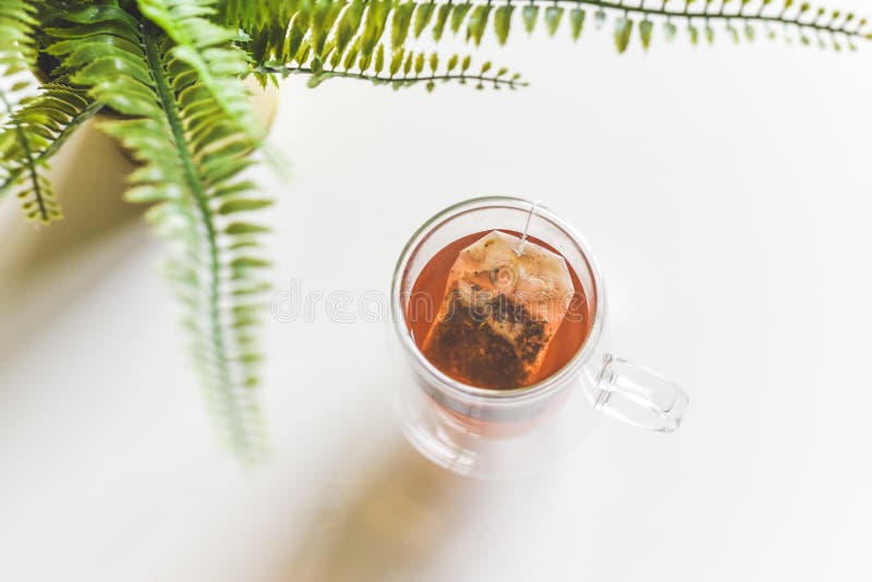 Cup of Calming Herbal Tea with Bag in Home Interior Setting Stock Photo ...