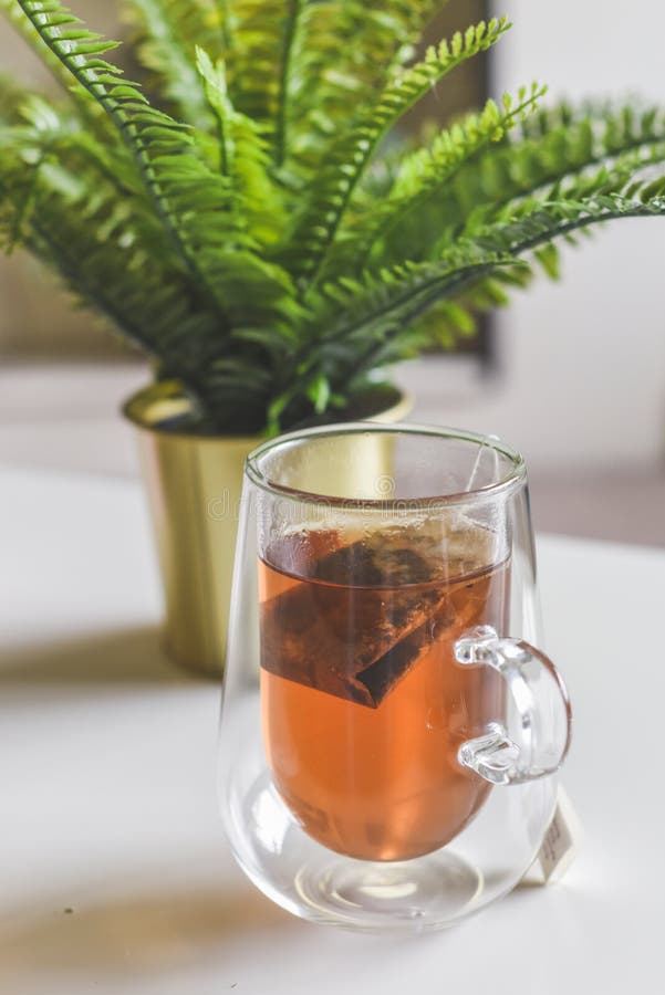 Cup of Calming Herbal Tea with Bag in Home Interior Setting Stock Photo ...