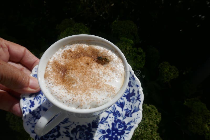 A Wasp Sits on the Milk Foam of a Cup with Sweetened Cappuccino Stock ...