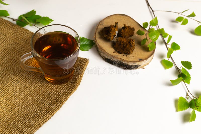 Cup with Chaga Tea and Birch Branches, Mushroom on a White Background ...