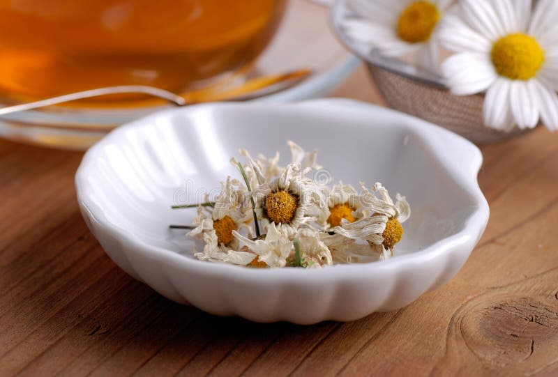 Closeup of chamomile tea stock photo. Image of healthy - 3935026