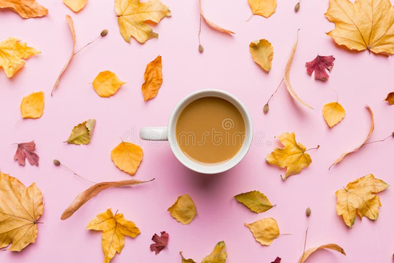 Cup of Cocoa with Autumn Leaves Abstract Still Life Top View Vith Copy ...