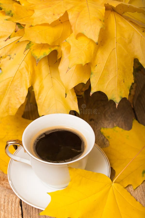 Cup of Coffee and Autumn Leaves Stock Photo - Image of decoration, fall ...