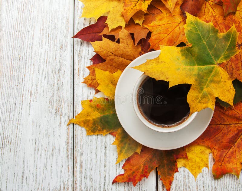 Cup of Coffee and Autumn Leaves Stock Photo - Image of coffee, color ...