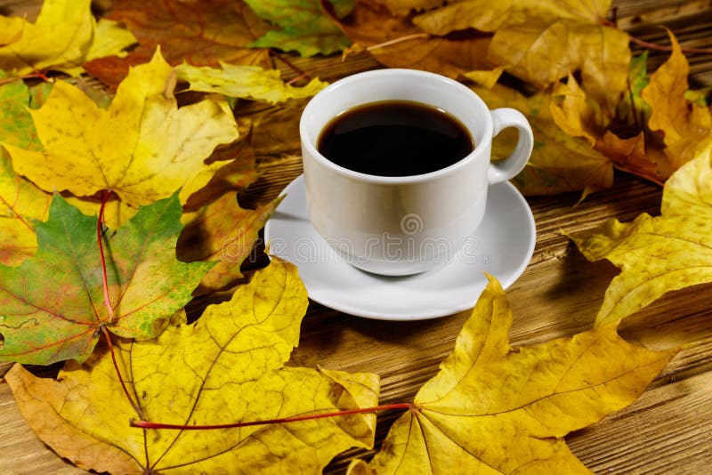 Cup of Coffee and Autumn Maple Leaves on Wooden Table. Autumn Concept ...