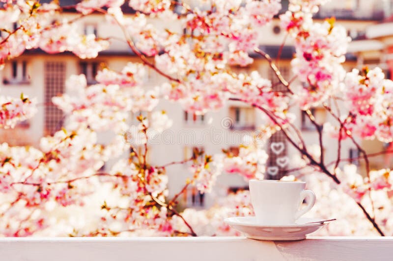 Cup of Coffee on the Balcony with Beautiful View of Spring Flowers ...