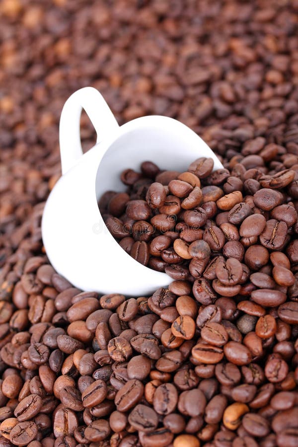 Cup in coffee beans stock image. Image of grind, harvest - 19906627