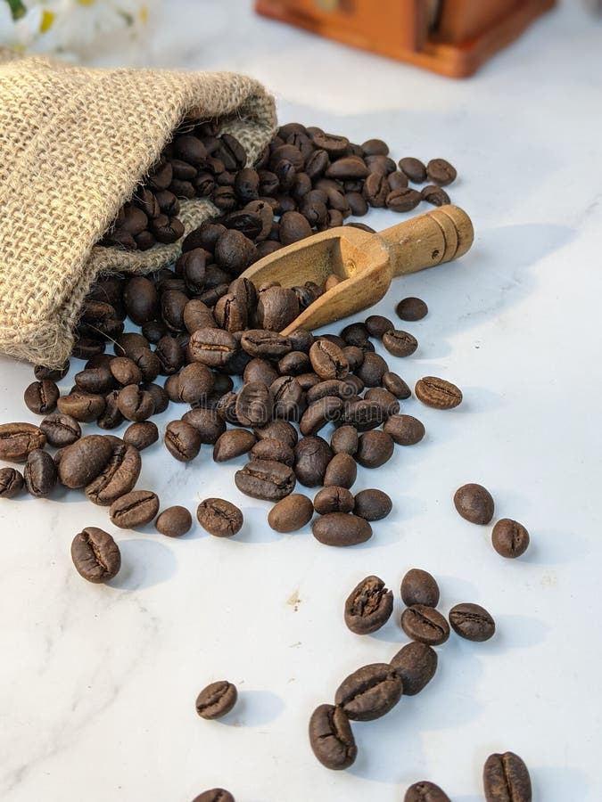 A Cup of Coffee with Coffee Beans As a Drink Concept Stock Photo ...