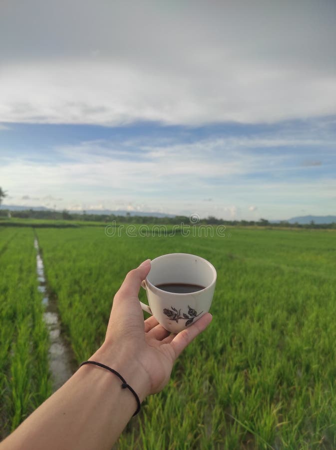 A Cup of Coffee Being Enjoyed at Dusk Stock Photo - Image of green ...