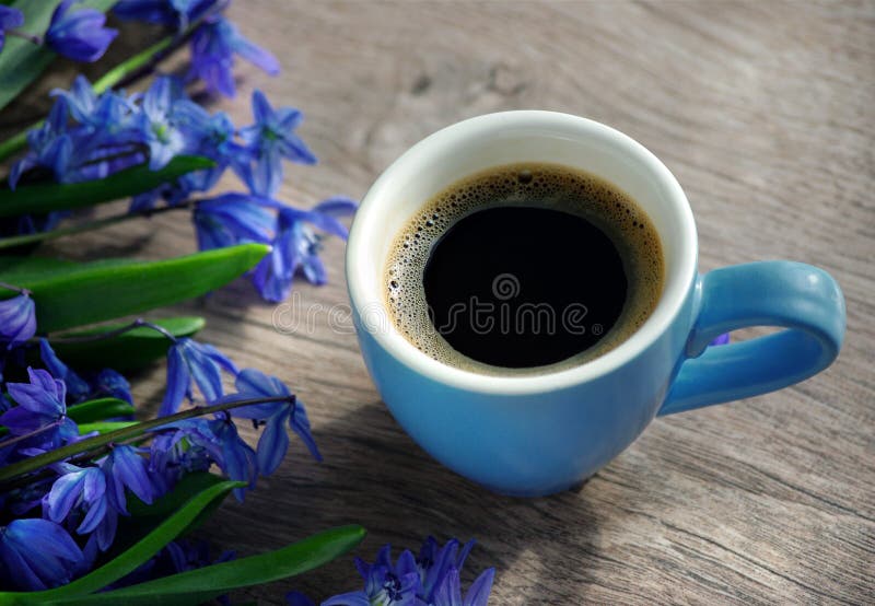 Cup of Coffee and Blue Flowers on the Wooden Table. Blue Scilla Flowers ...