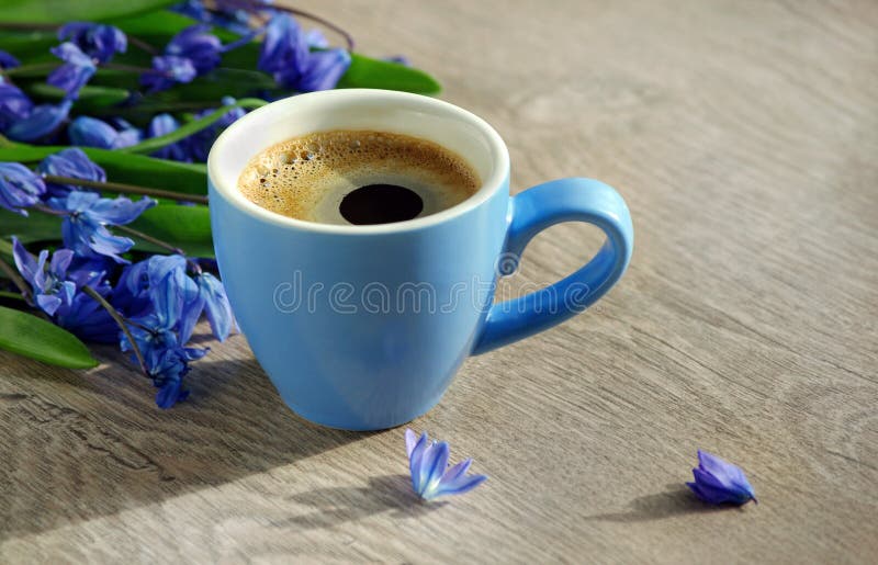 Cup of Coffee and Blue Flowers on the Wooden Table. Blue Scilla Flowers ...