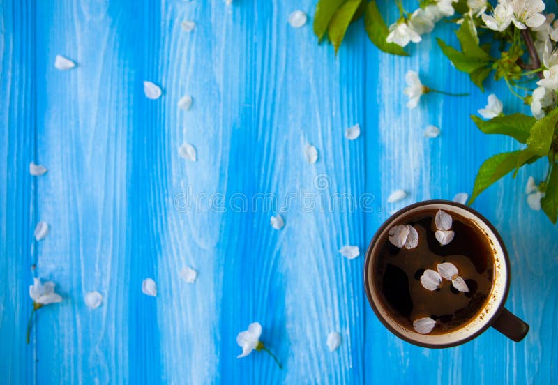 Cup of Coffee on Blue Wood Spring Background with Copy Space Stock ...