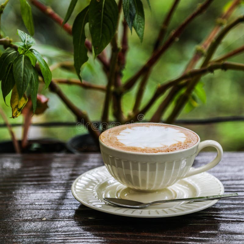 Cup of Coffee is Breakfast or Snack. Stock Photo - Image of shadow ...