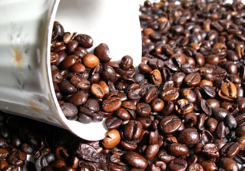 Cup of coffee and coffee stock photo. Image of berrys - 4336434