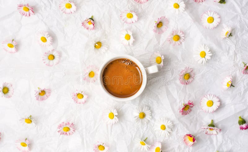 Cup of Coffee and Daisy Flowers Stock Image - Image of black, desk ...