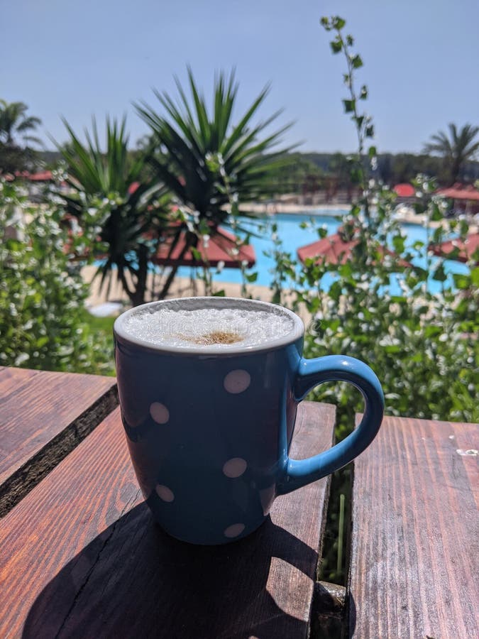 A Cup of Coffee in Front of the Pool. Stock Image - Image of pool ...