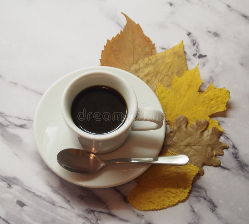 Coffee and leaves stock photo. Image of life, drink, leaf - 78181494