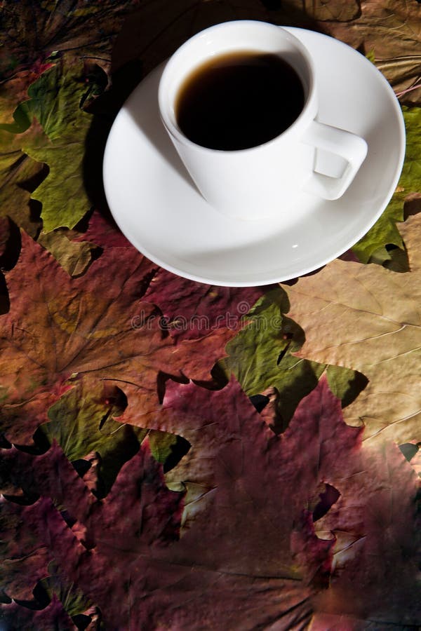 A Cup of Coffee and Maple Leaves Stock Photo - Image of copyspace ...