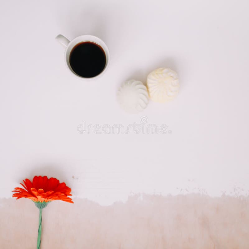 Cup of Coffee with Marshmallows and Flower on Light Background ...