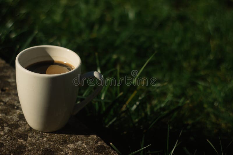 Cup of Coffee in the Morning. Espresso Coffee Stock Photo - Image of ...