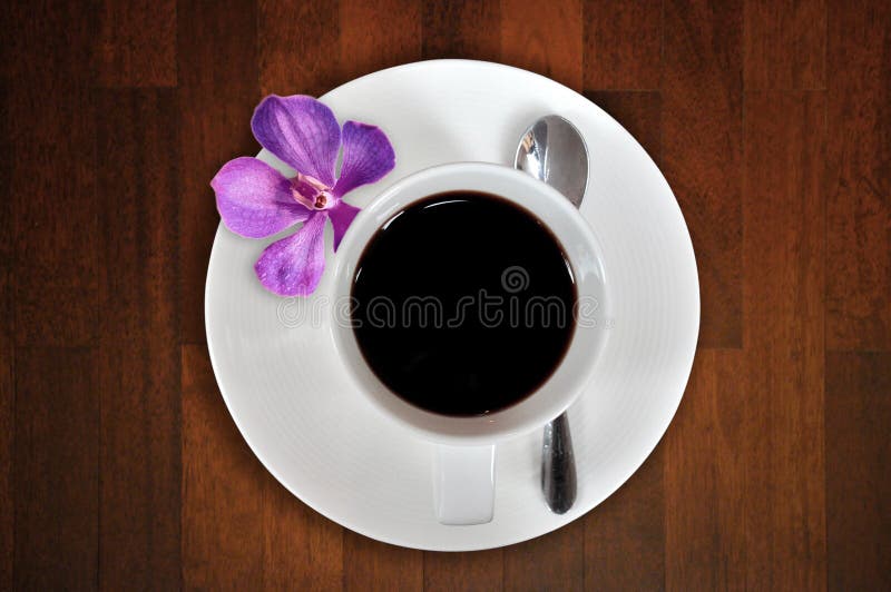 Cup of Coffee with Orchid stock image. Image of breakfast - 18444321
