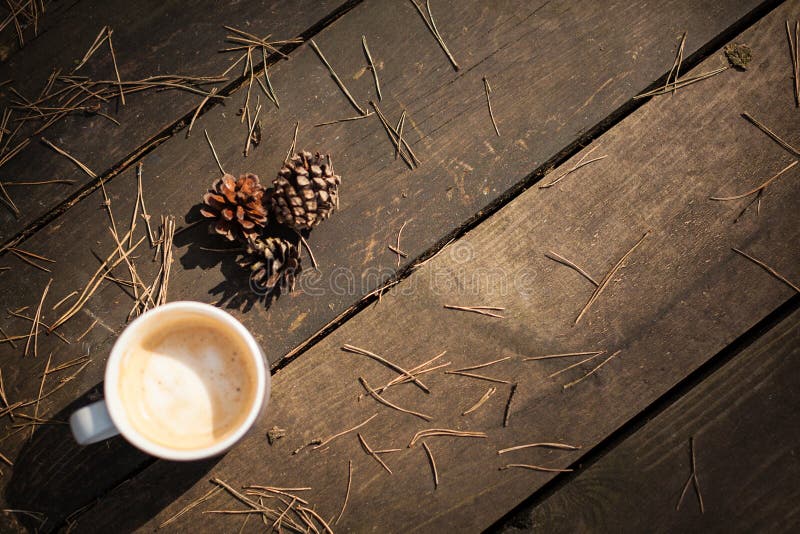 Cup of Coffee and Pine Cones Stock Photo - Image of pinecone, timber ...