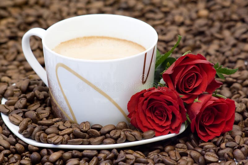 Rose and coffee stock image. Image of morning, rose, espresso - 7885361