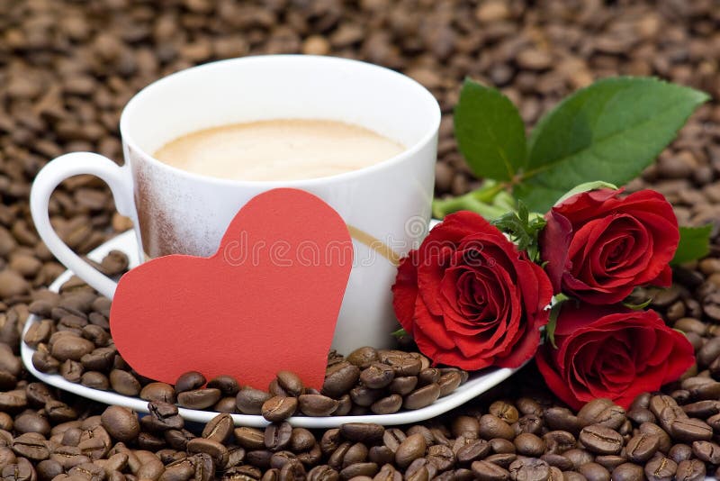 Rose and coffee stock image. Image of morning, rose, espresso - 7885361