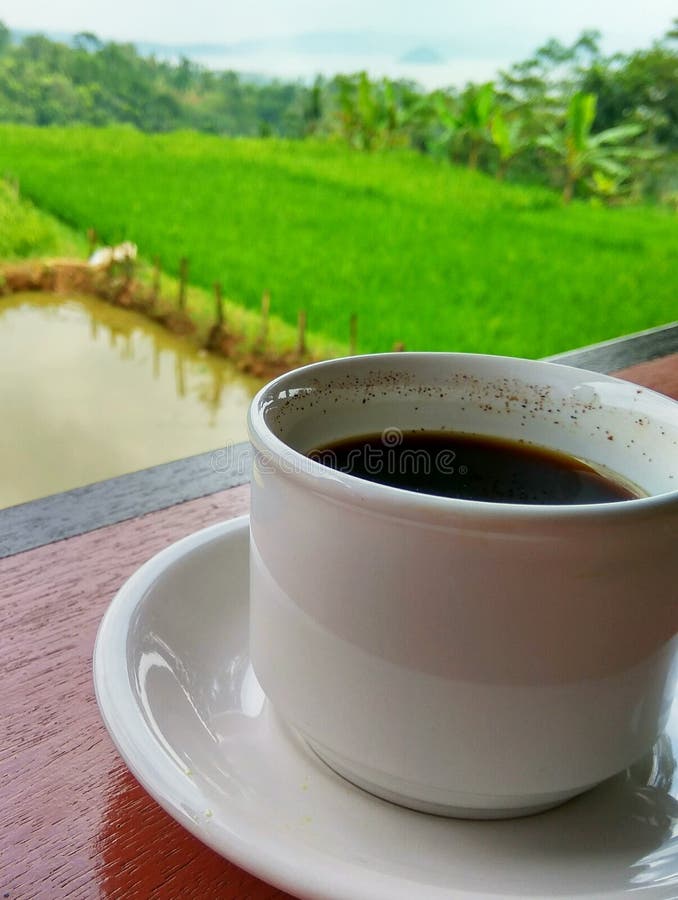Coffee and rice bcakground stock image. Image of arabica - 210608477
