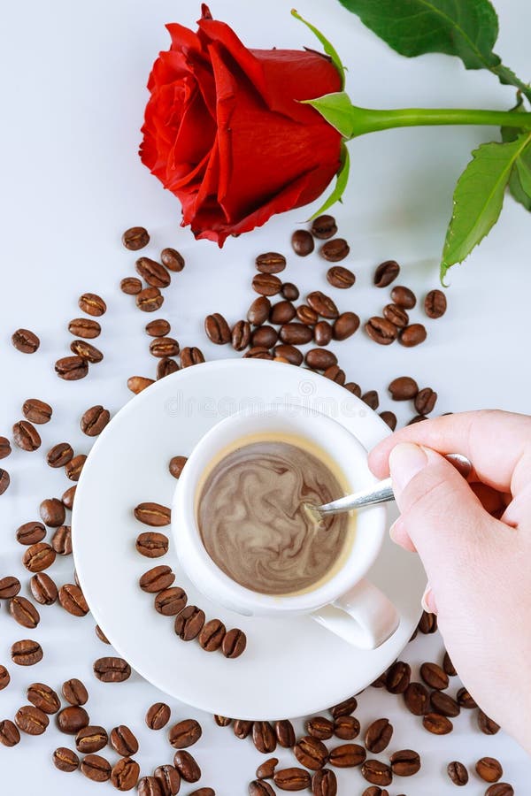 Cup of Coffee with a Rose on a White Background Stock Photo - Image of ...