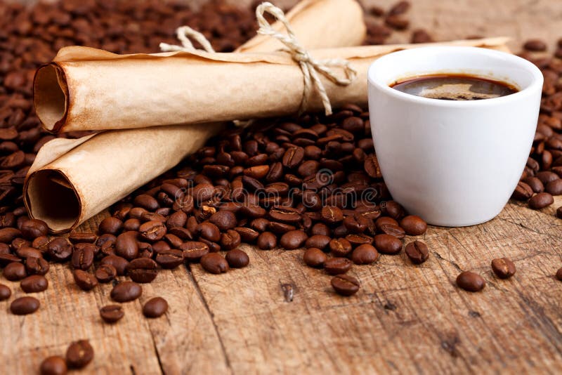 Rustic Paper with Branch Around Stock Photo - Image of texture, classic ...