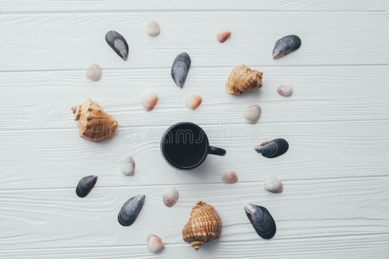Cup of Coffee and Sea Shells on a White Background Stock Photo - Image ...