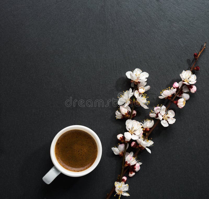 Cup of Coffee and Spring Flowers on Pink Wooden Table. Stock Image ...