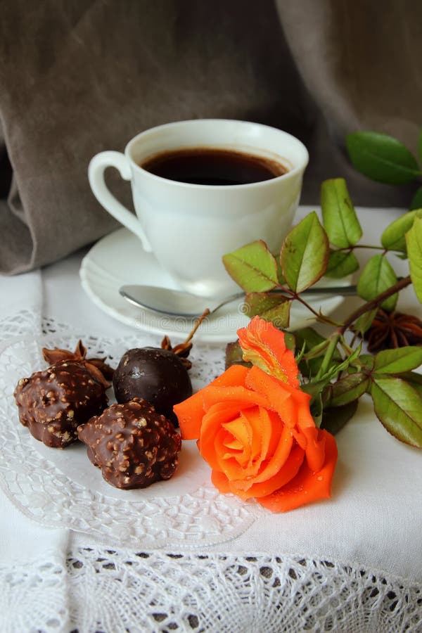 A cup of coffee and sweets stock photo. Image of rosebud - 45692976