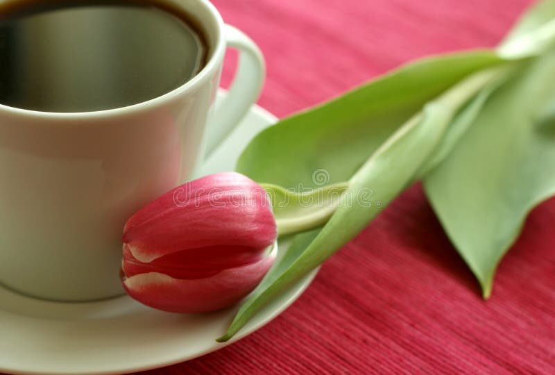 Good morning stock image. Image of bouquet, springtime - 69724623