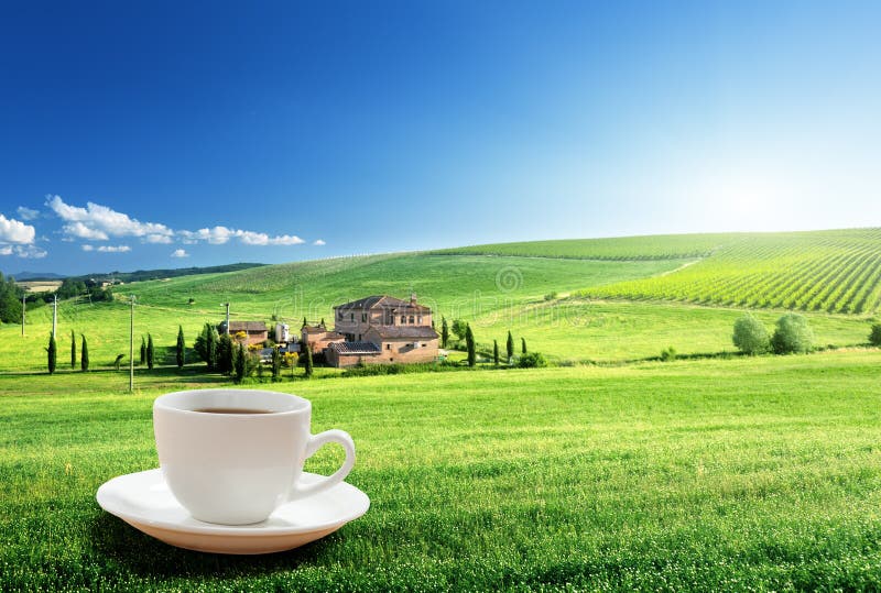 Sea and cup of coffee stock photo. Image of natural, breakfast - 58991758